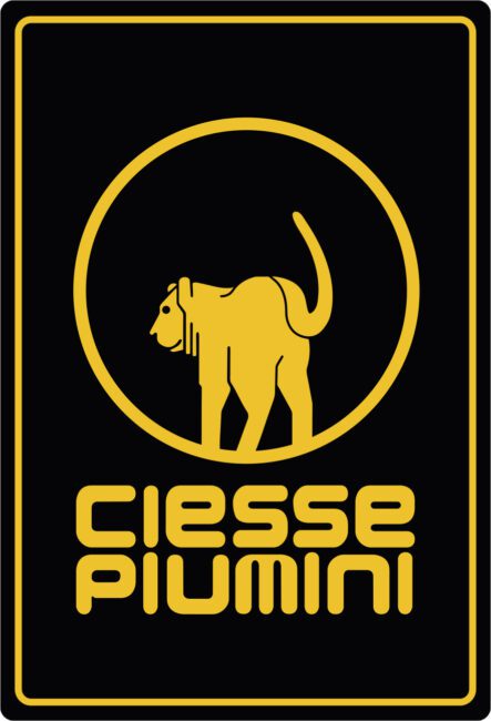 Piumini invernali: vendita online | Ciesse Piumini